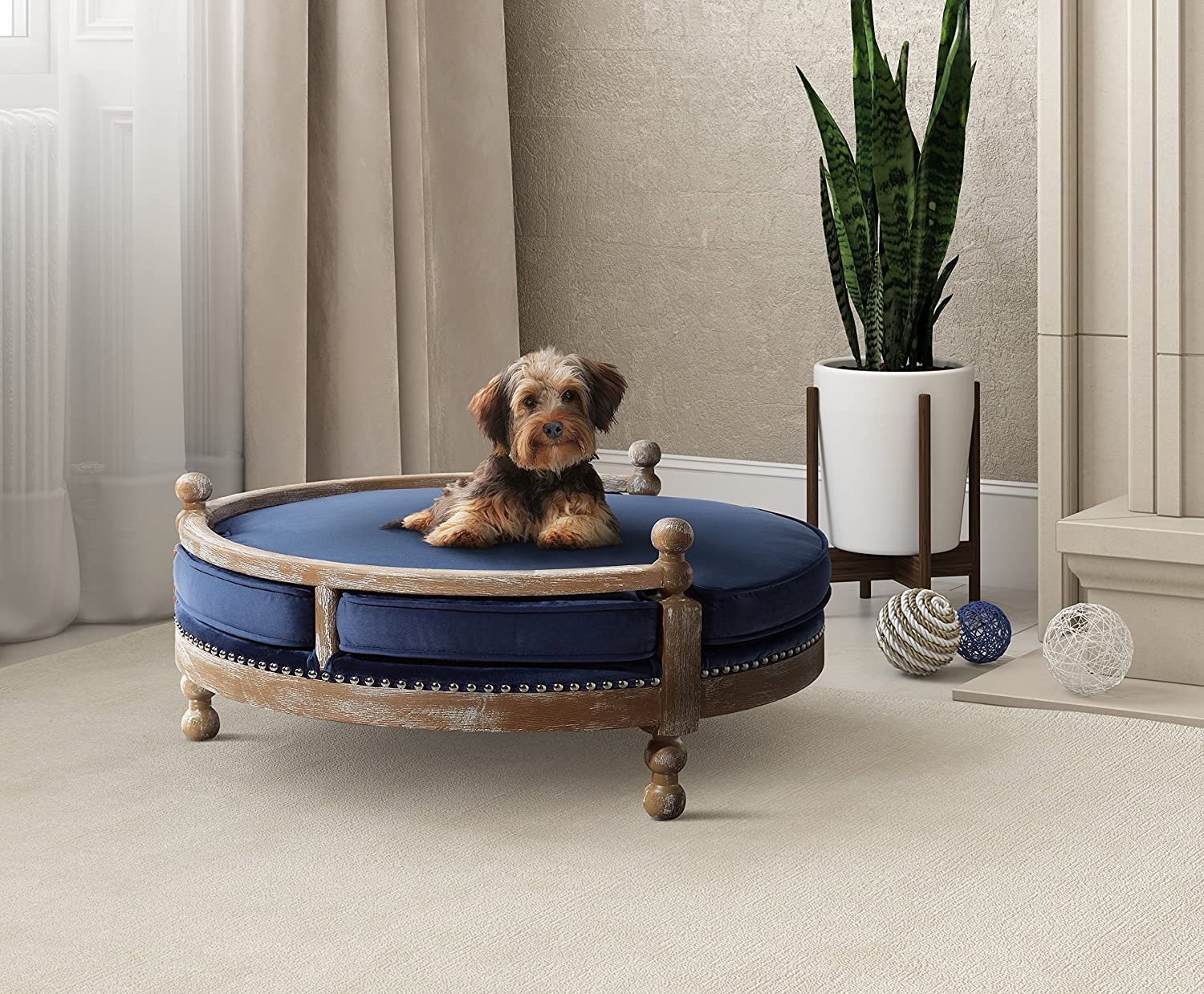 Cute Dog Bed Furniture That Your Pet Will Actually Want To Sleep On